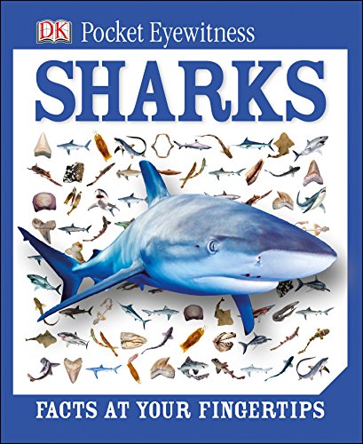 DK Pocket Eyewitness Sharks by DK Book The Fast Free Shipping | eBay